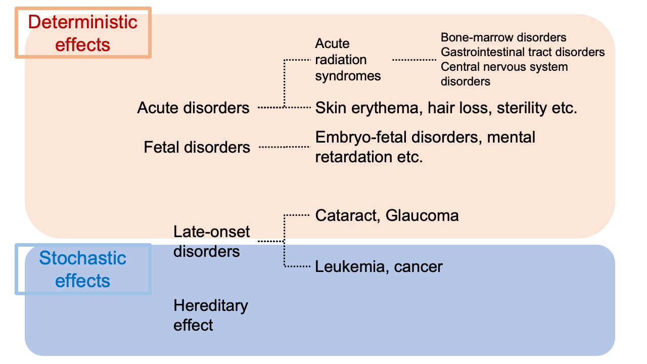 Impact on human health caused by exposure to radiation (Vol. 1) - わかり ...